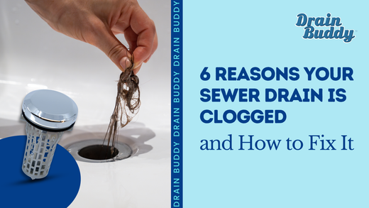 6 Reasons Your Sewer Drain Is Clogged and How to Fix It– Drain Strain